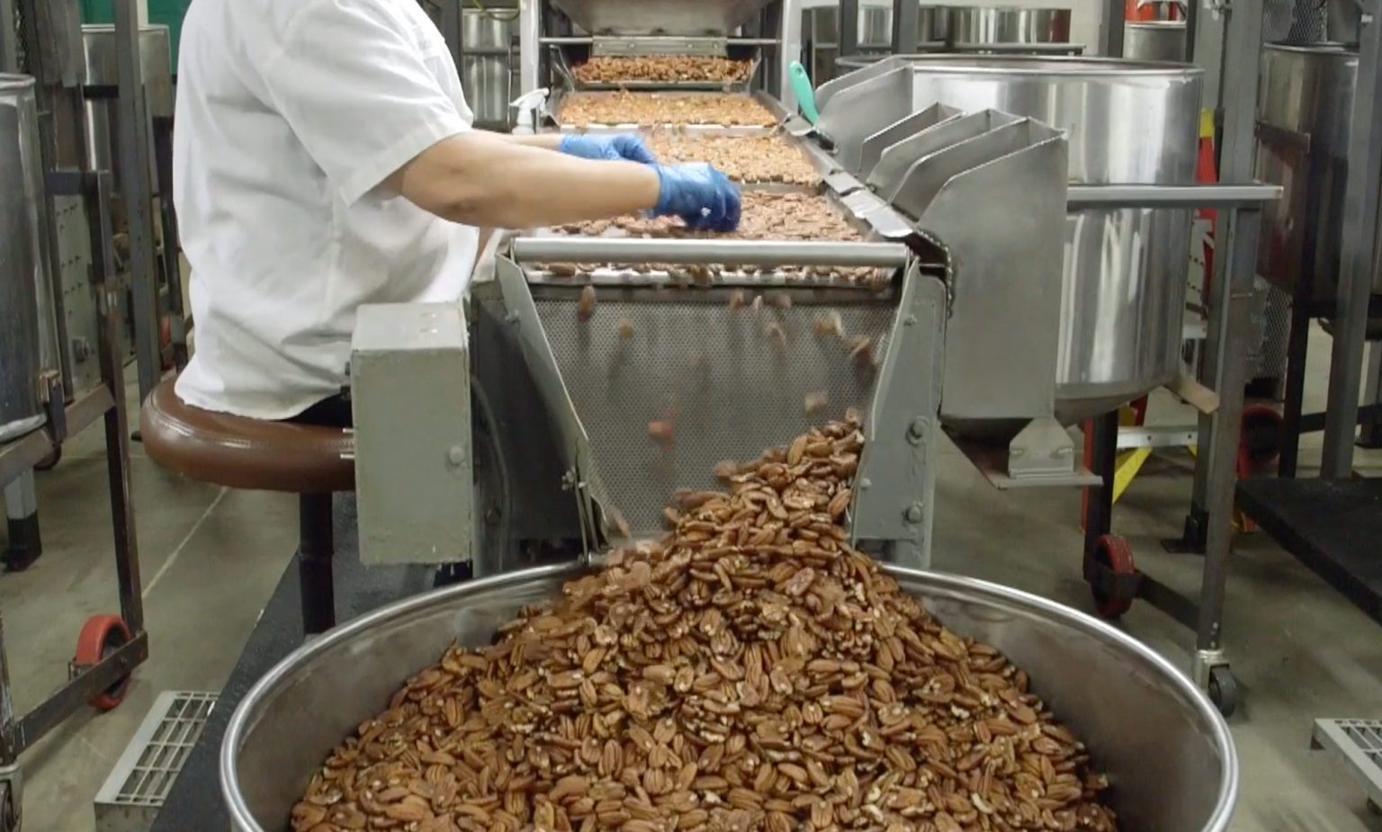 FICO closing processing plant, will continue farming pecans (SAHUARITA, Ariz.) – Farmers ...